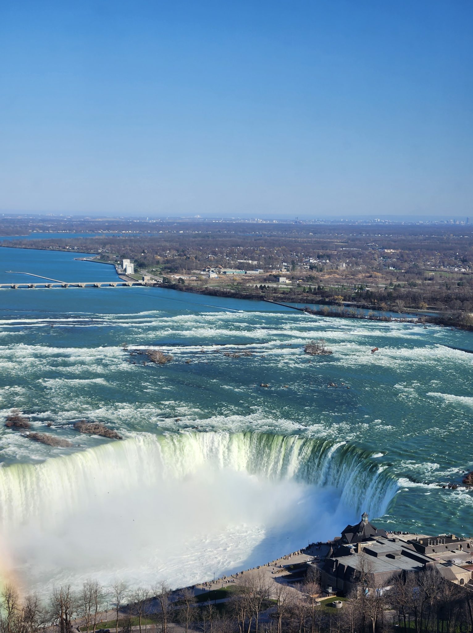 Niagara Falls - The Novel Turtle