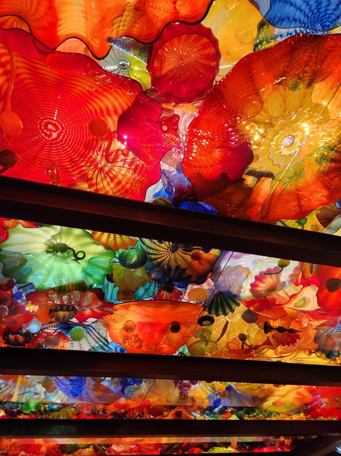 Chihuly at Biltmore - The Novel Turtle