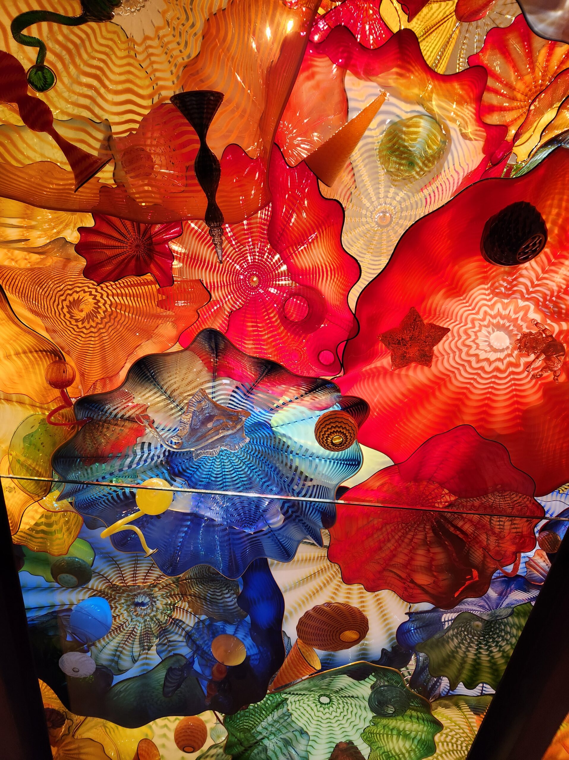 Chihuly at Biltmore - The Novel Turtle