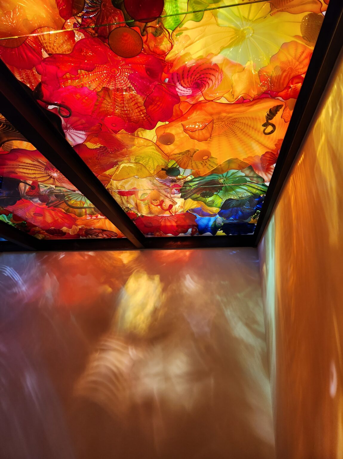 Chihuly at Biltmore - The Novel Turtle