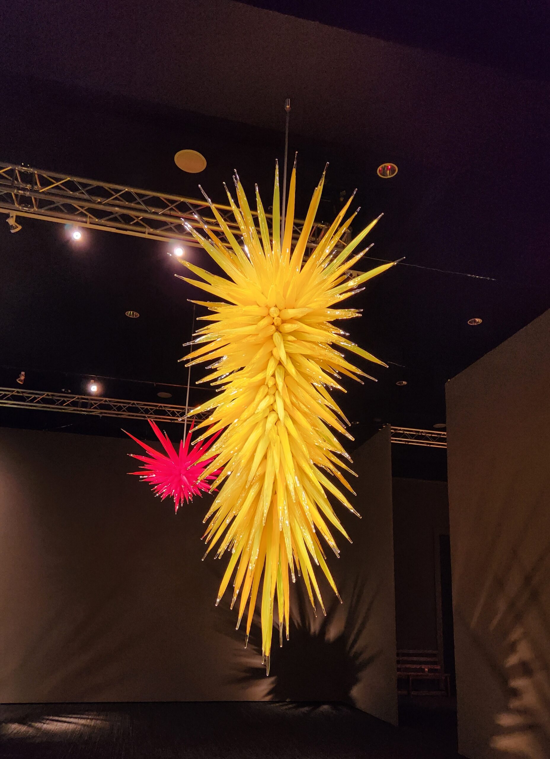 Chihuly at Biltmore - The Novel Turtle