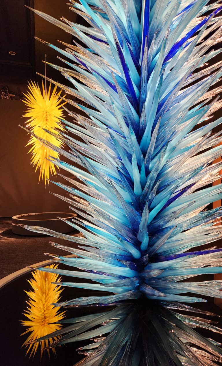 Chihuly at Biltmore - The Novel Turtle