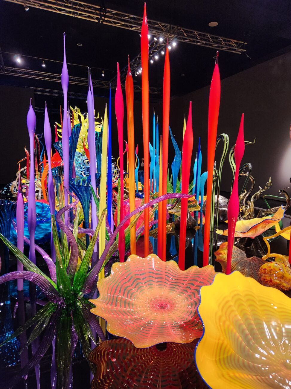 Chihuly at Biltmore - The Novel Turtle