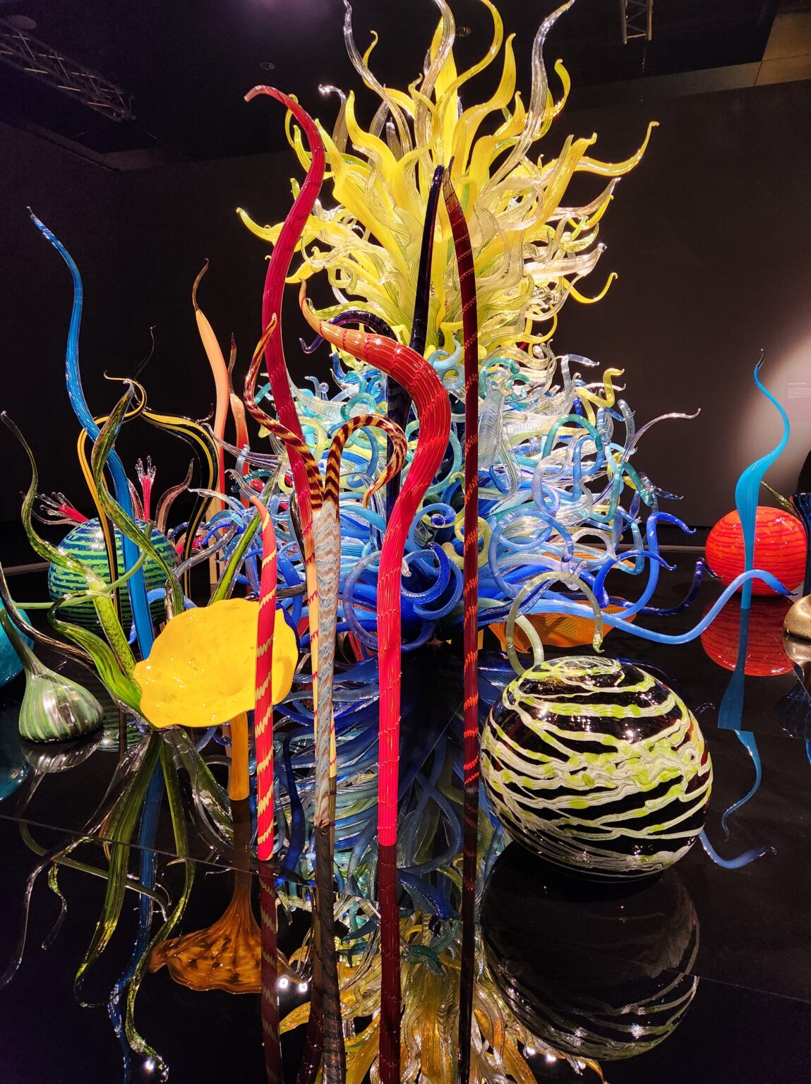 Chihuly at Biltmore - The Novel Turtle